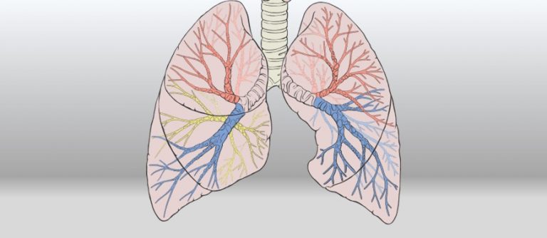 Early Lung Cancer Screening - Meakins-Christie Laboratories